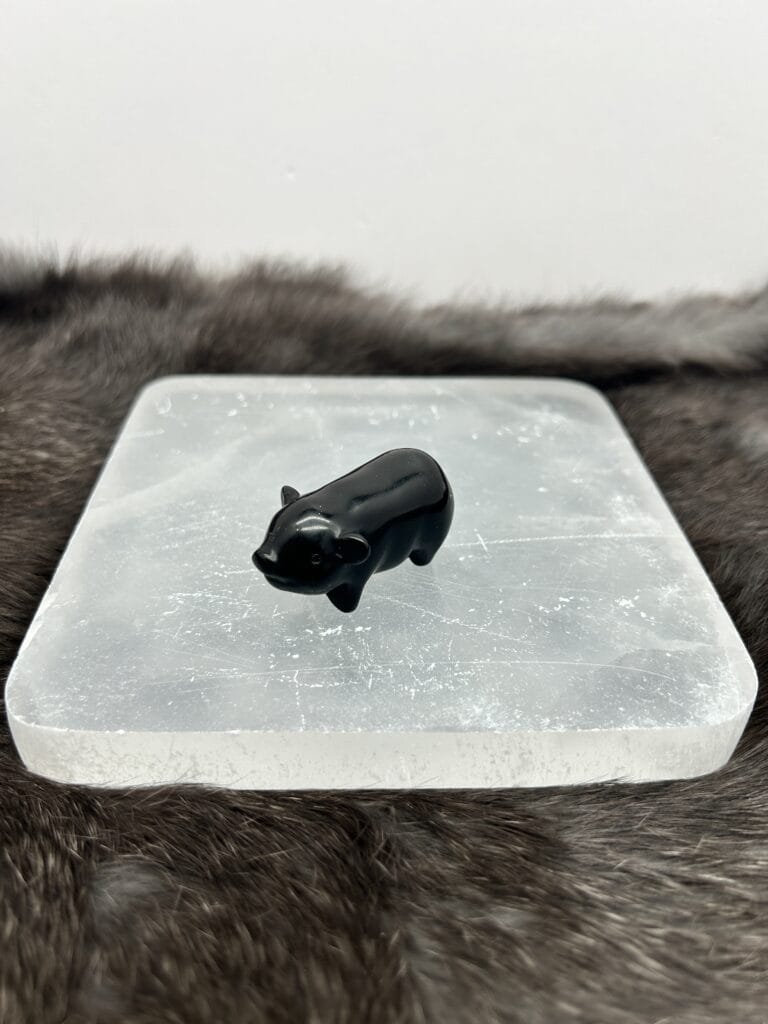 Quality Pig Shungite Carving | 0.05 kg Shungite Stone Carved in Pig Shape